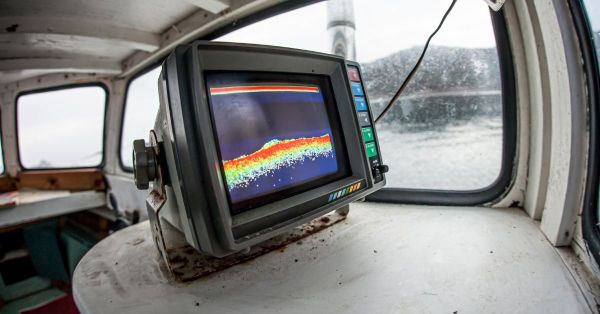 Discover the Depths with Sonar Technology | Explore Marine Life