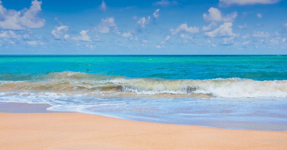 Discover Flotsam: Unleash the Underwater World's Wonders