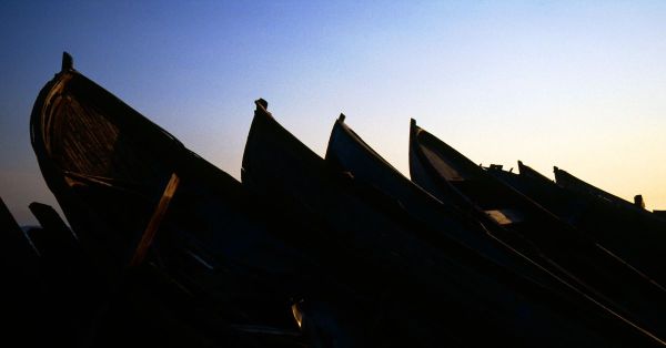 The World of Rowboats: A Guide to Types and Uses (Updated)