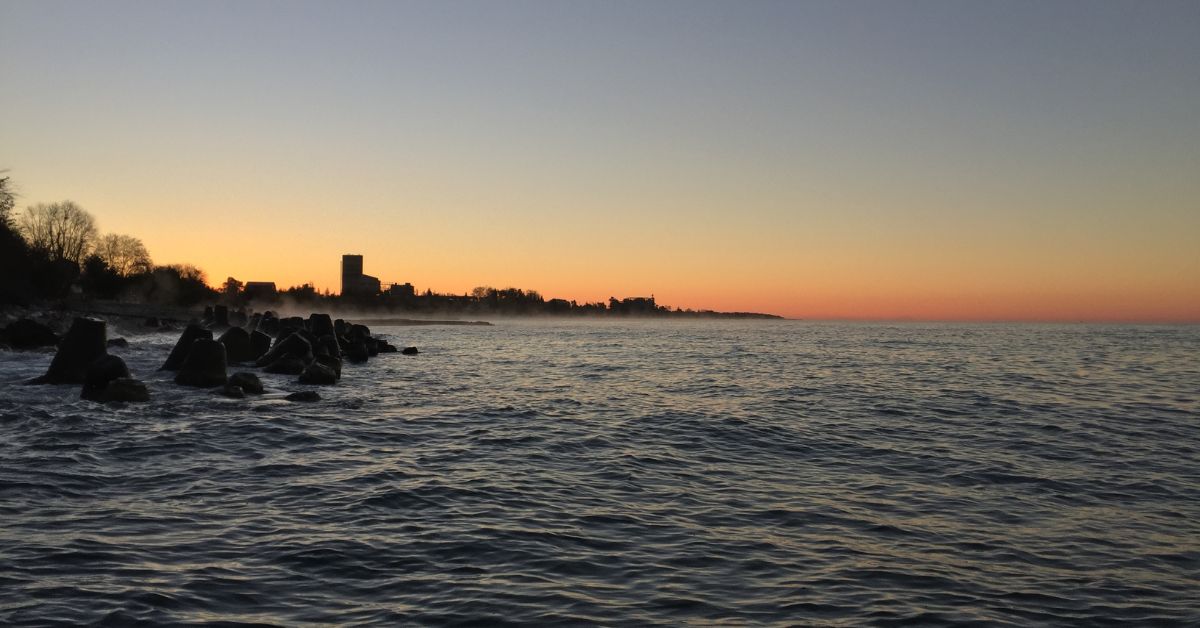 Black Sea Ecosystem: Discovering the Flora and Fauna