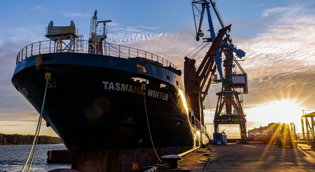 Ship Anchor: Types, Functions, and Maintenance - Orbitshub