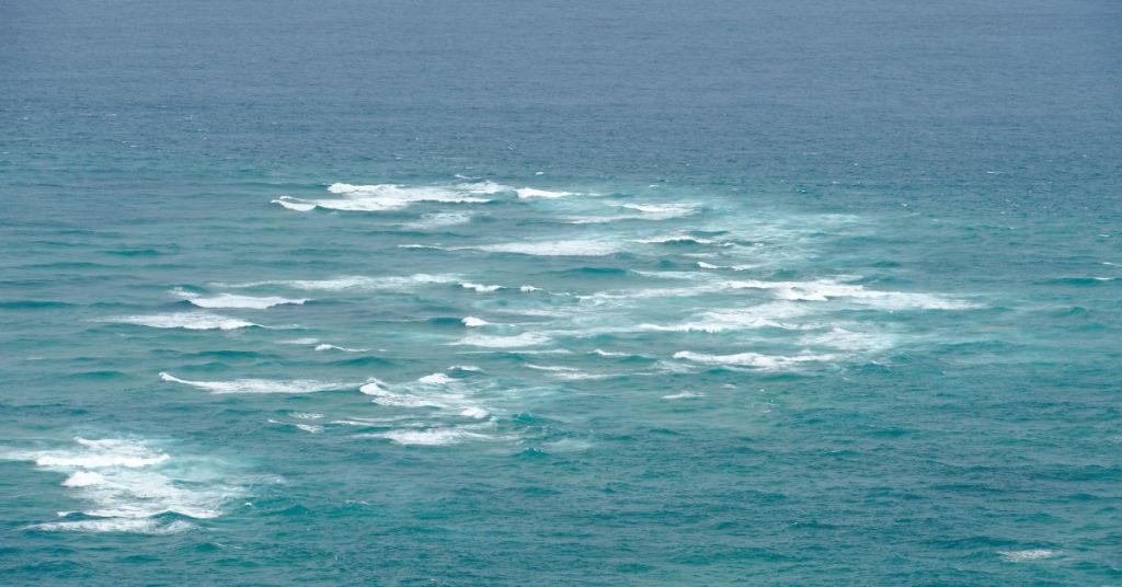 Tasman Sea: Geography, Climate, & Geological (Updated)