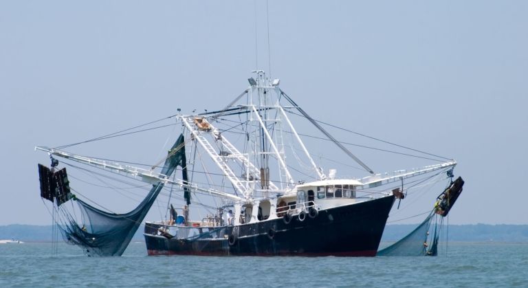 A Guide to Different Types of Fishing Boats (Updated)