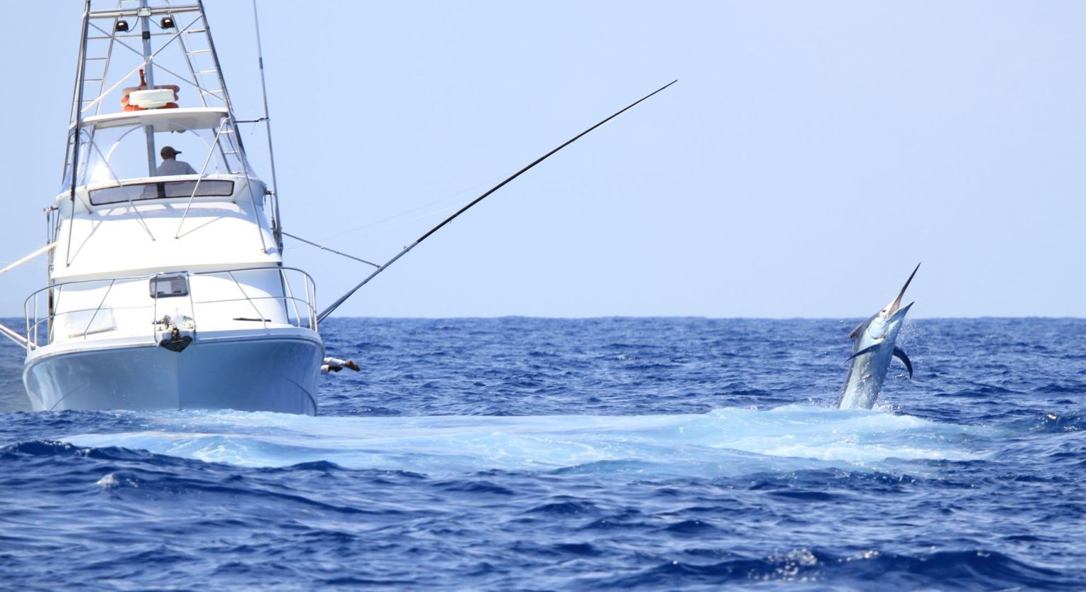 A Guide to Different Types of Fishing Boats (Updated)
