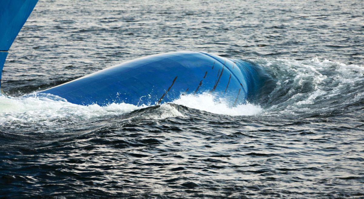 The Bulbous Bow: An Innovation Beneath the Surface - Orbitshub