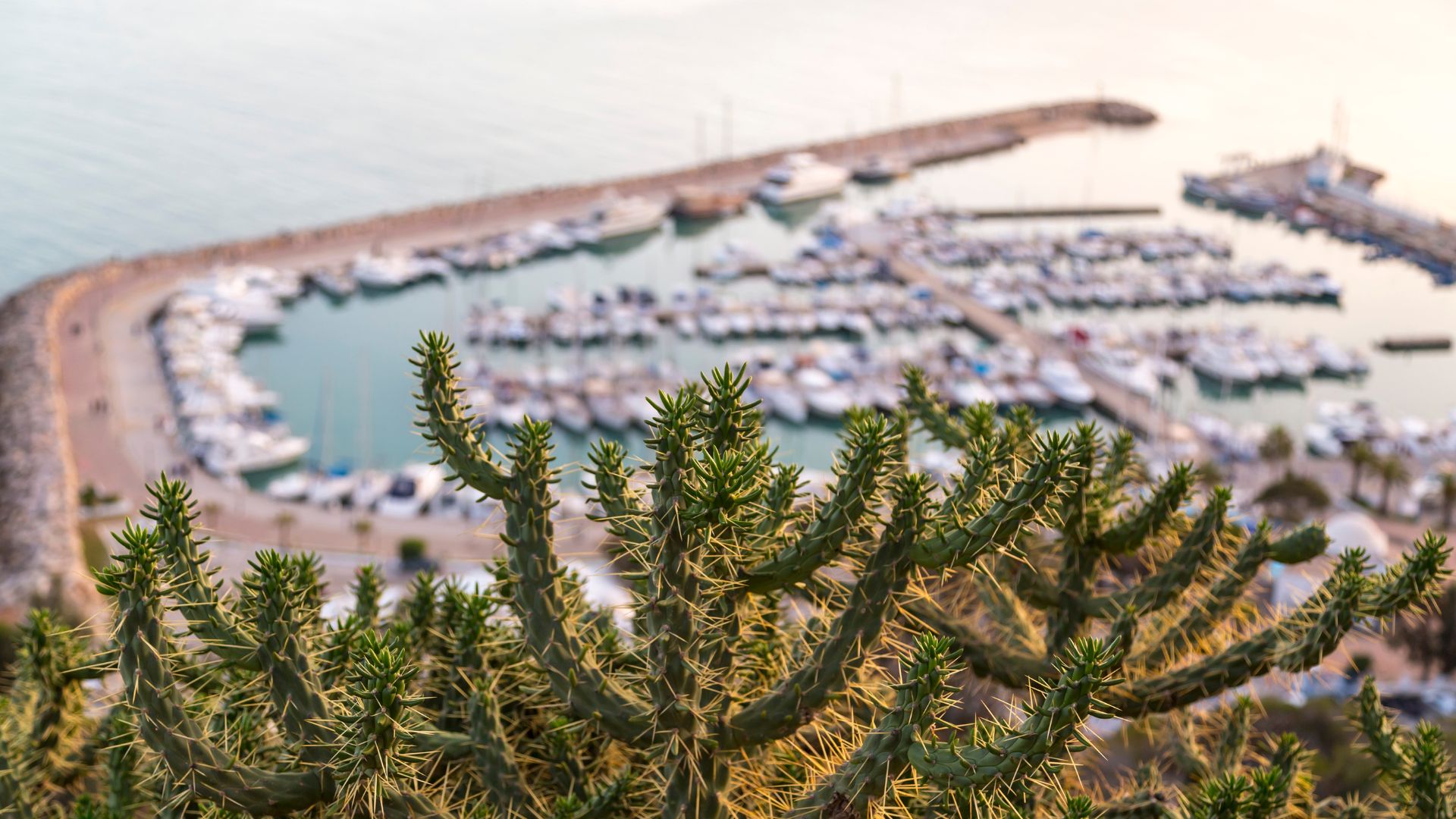 Port Said: Gateway to the Suez Canal (Updated)