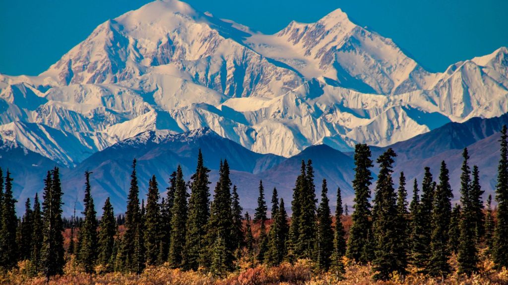 10 Gulf Of Alaska Facts You Might Not Know - (Updated)