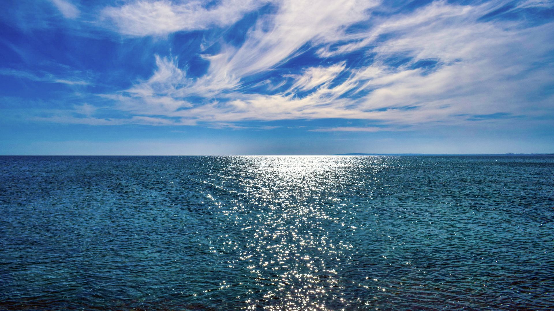 12 Timor Sea Facts You Might Not Know (Updated)