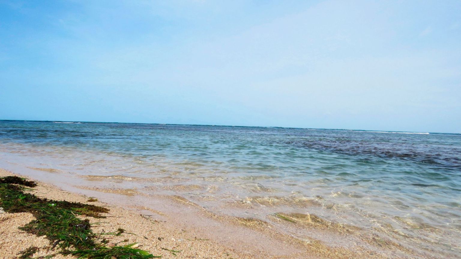 12 interesting facts about the Gulf of Mannar (Updated)