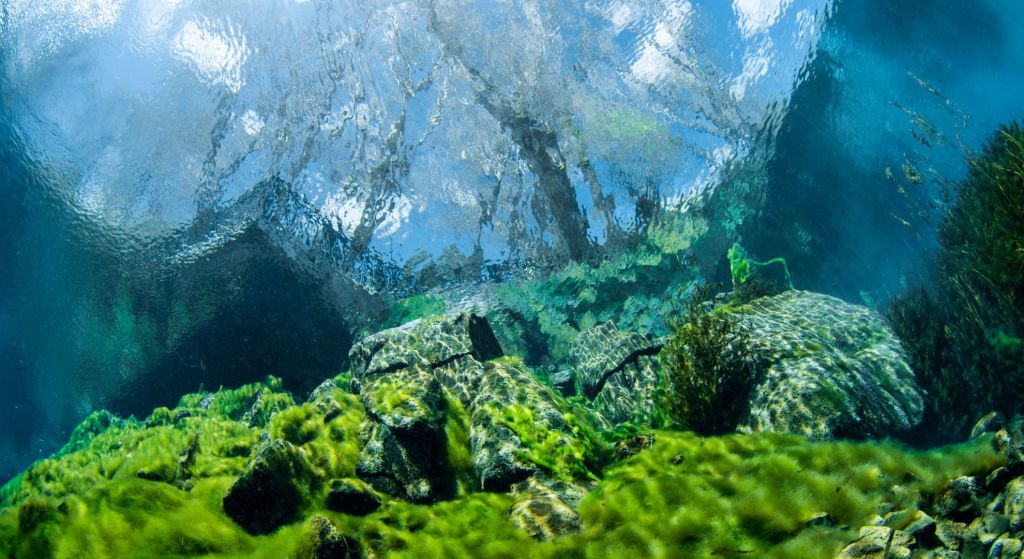 Are There Any Freshwater Oceans In The World? (Updated)