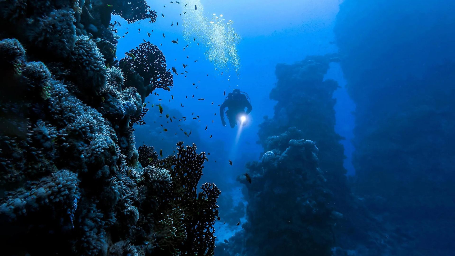10 Denmark Strait Facts You Might Not Know - (Updated)
