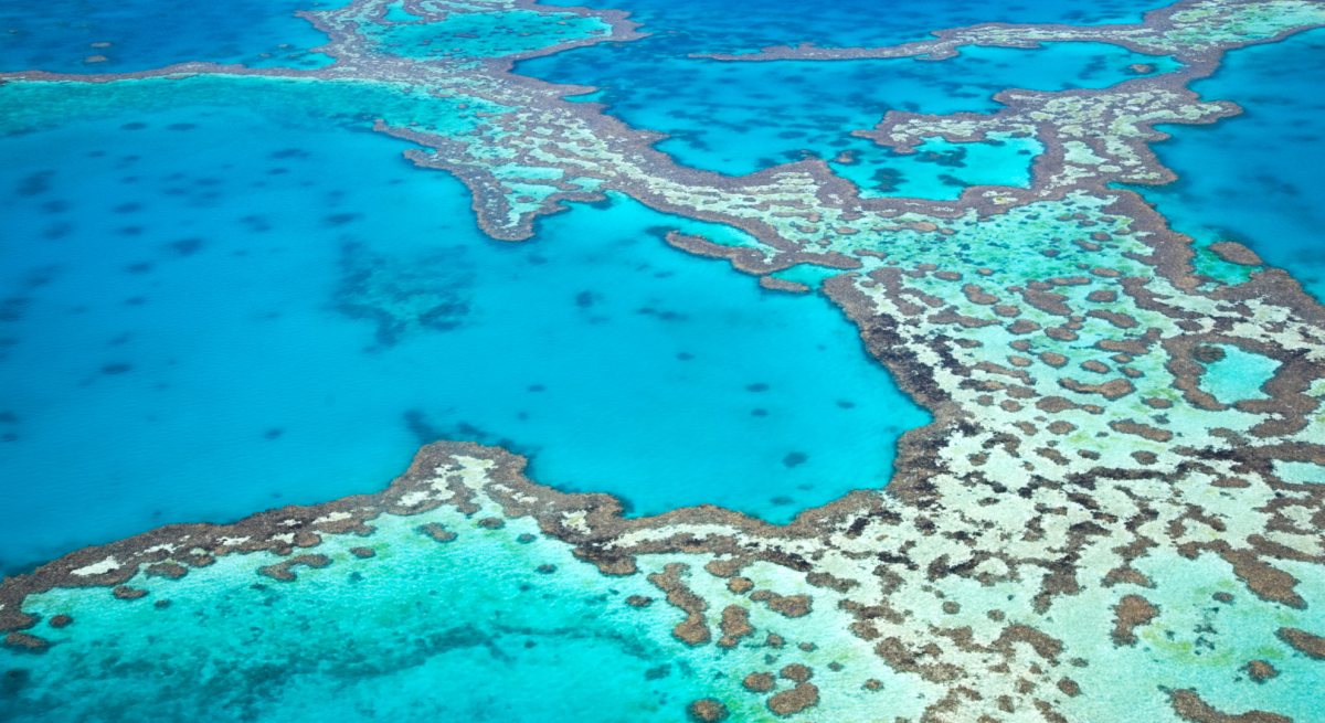 10 Interesting Facts About The Pacific Ocean - (Updated)