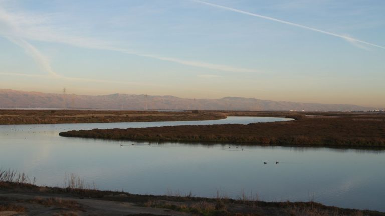 Top 10 Largest Estuaries in the World (Updated)