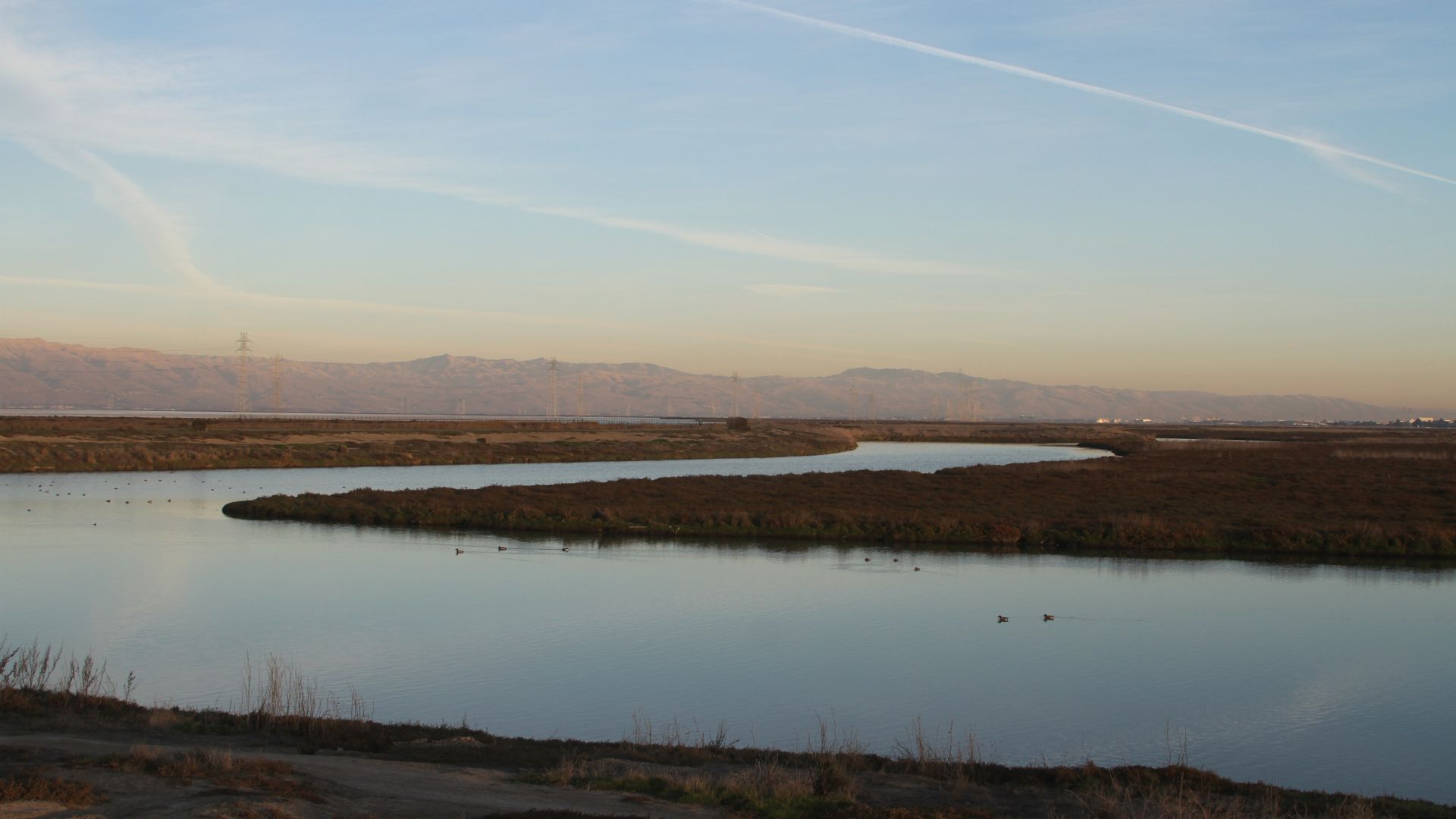 Top 10 Largest Estuaries in the World (Updated)