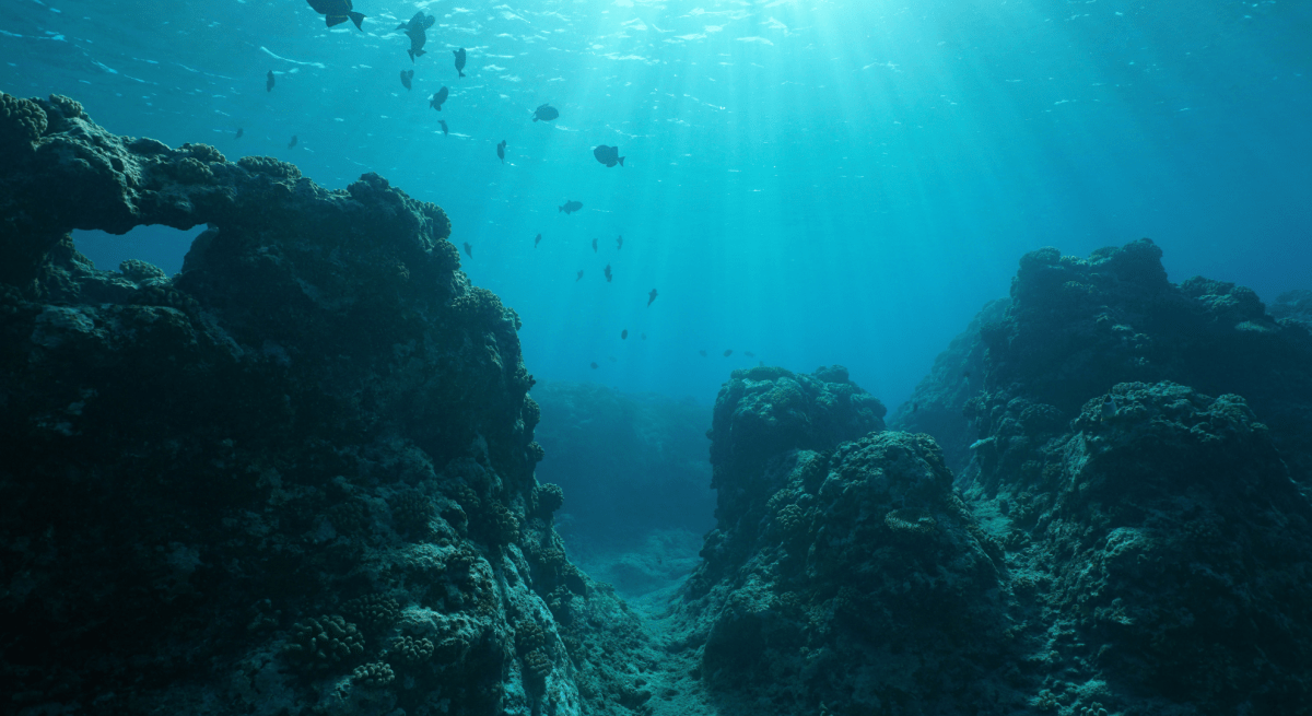 10 Interesting Facts About The Pacific Ocean - (Updated)