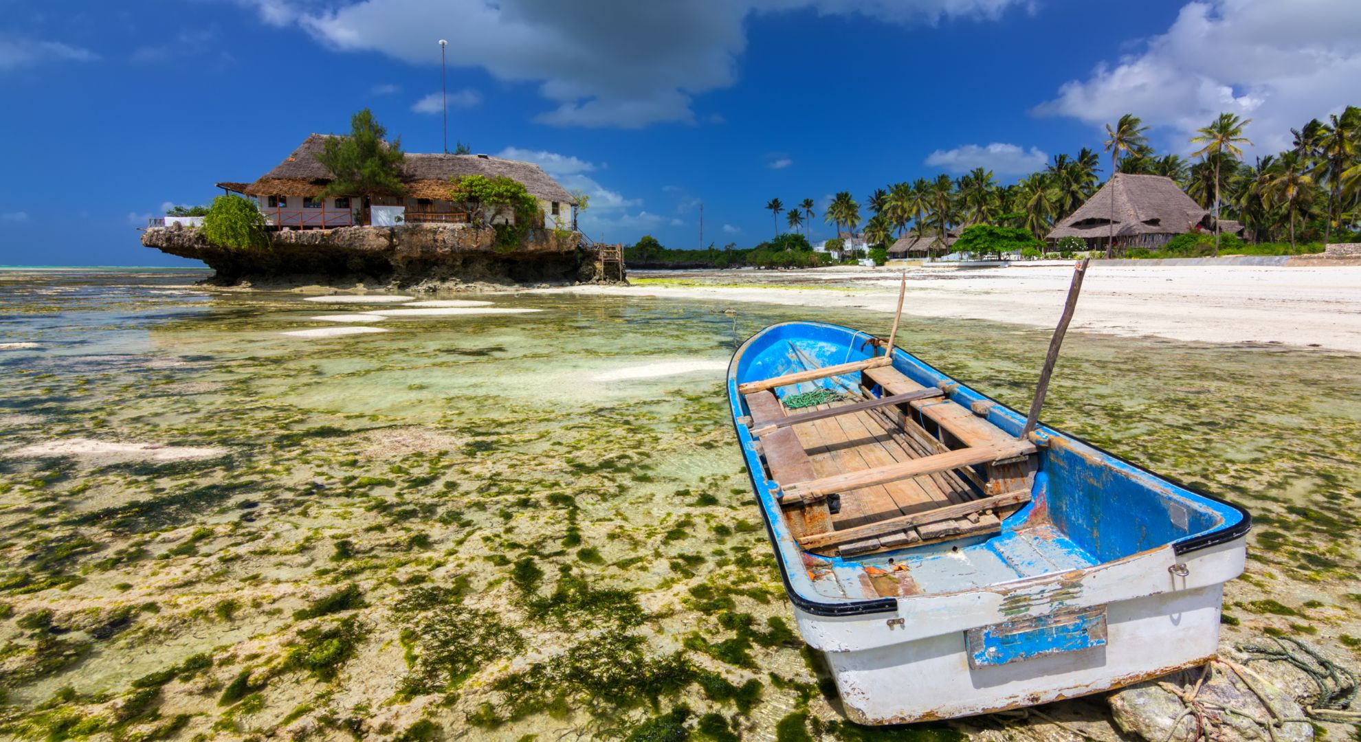 10 White Sea Facts You Might Not Know (Updated)