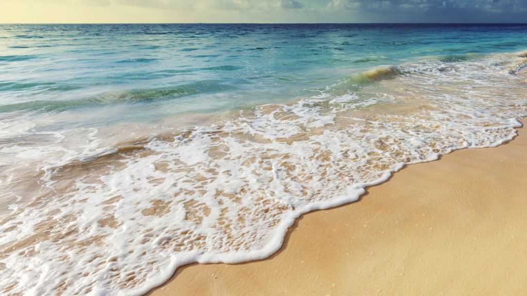 12 Timor Sea Facts You Might Not Know (Updated)