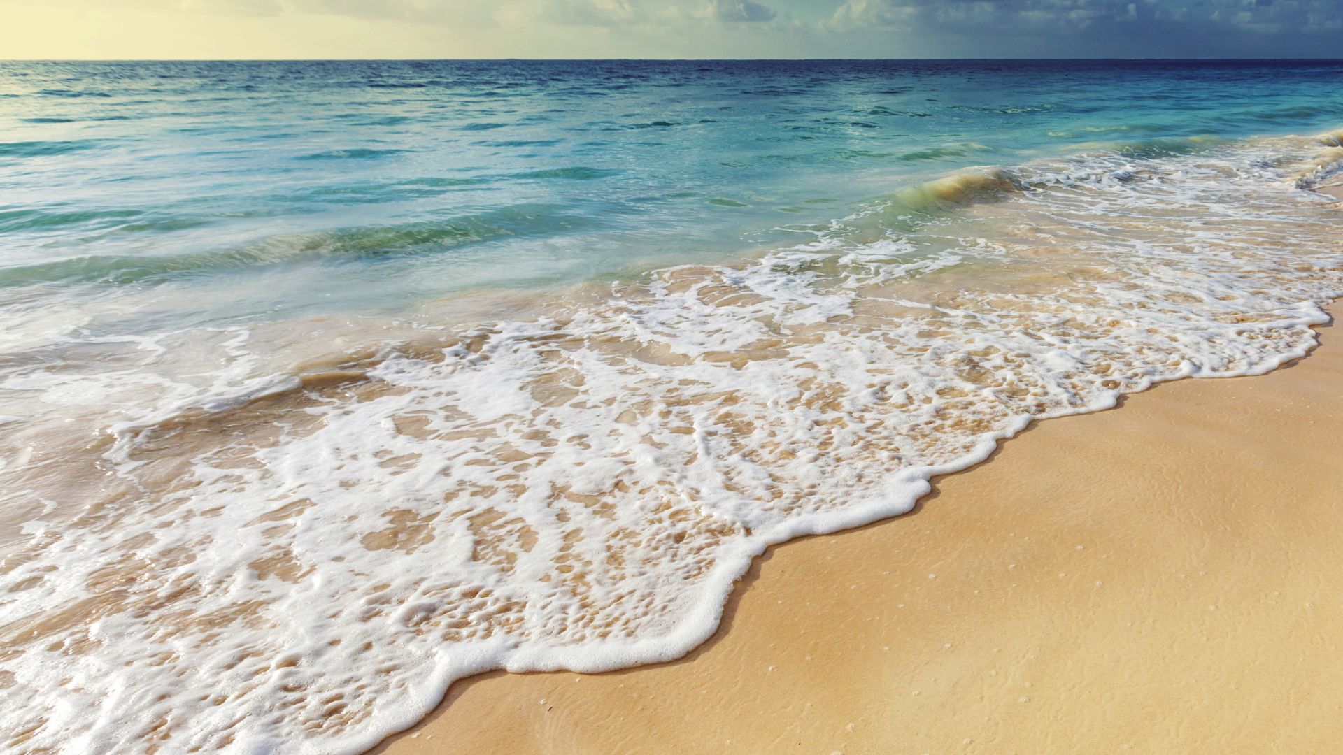 12 Timor Sea Facts You Might Not Know (Updated)