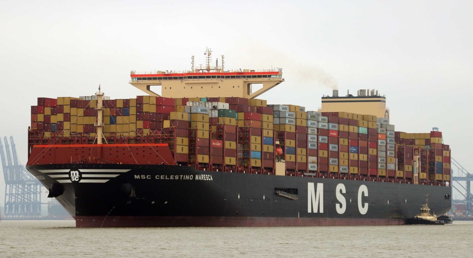 Meet the Maritime Marvel: MSC Irina (Updated)