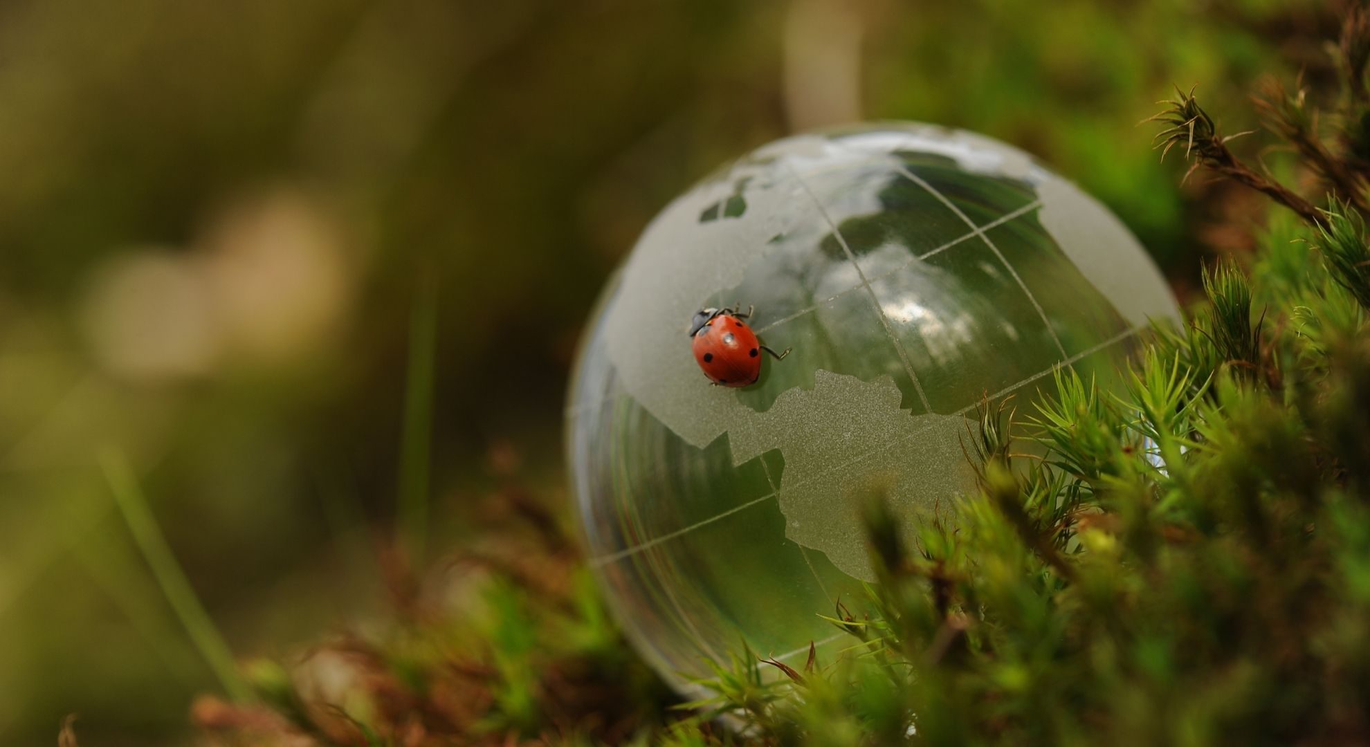 Navigating the Wonders of the Port of Koper, Slovenia (Updated)