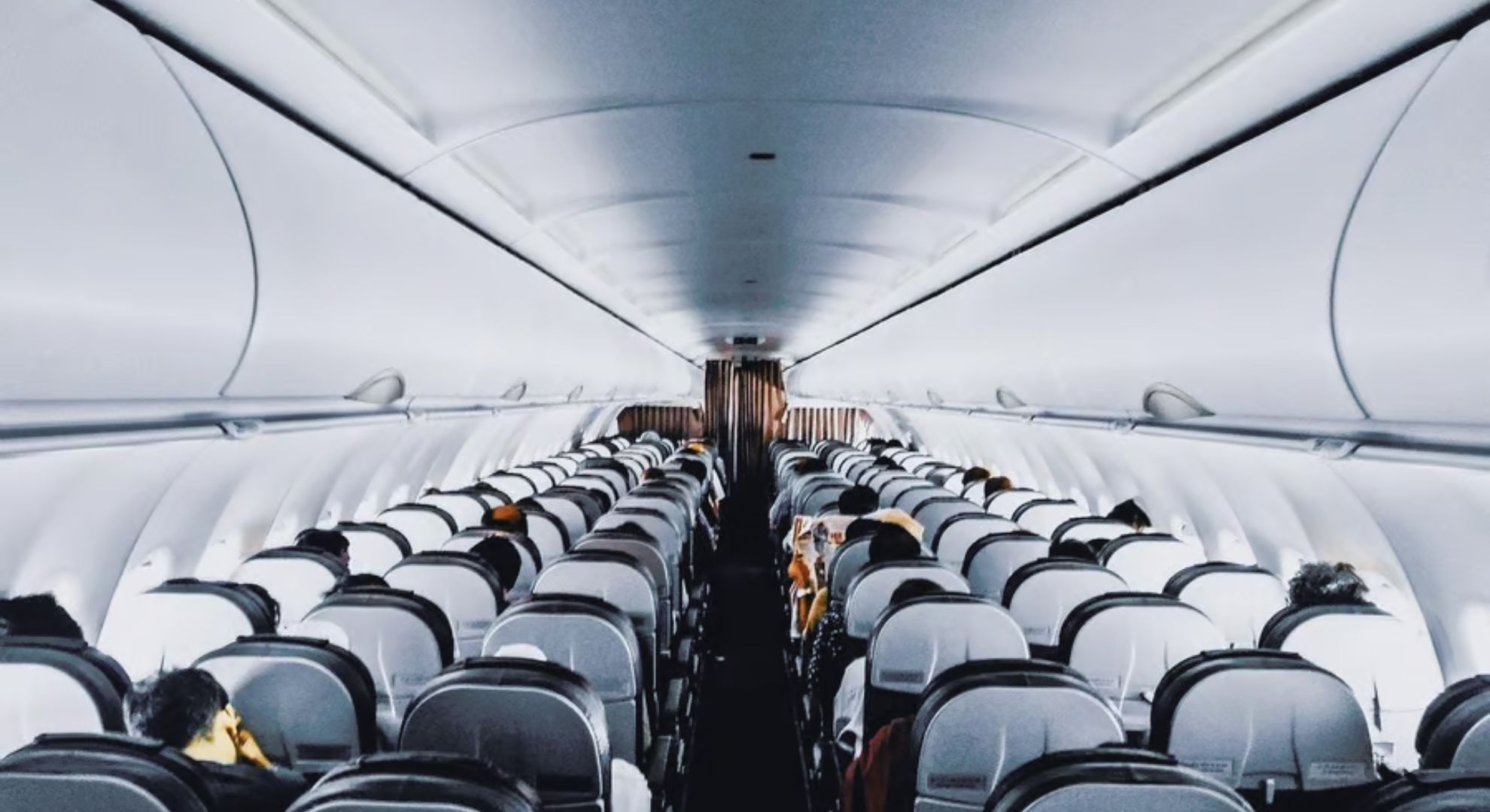 The Ultimate Fly91 Experience: A Comprehensive Guide (Updated)