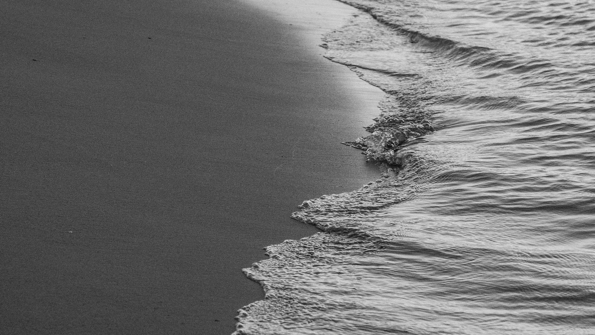 7 Amazing Facts About the Black Sea (Updated)