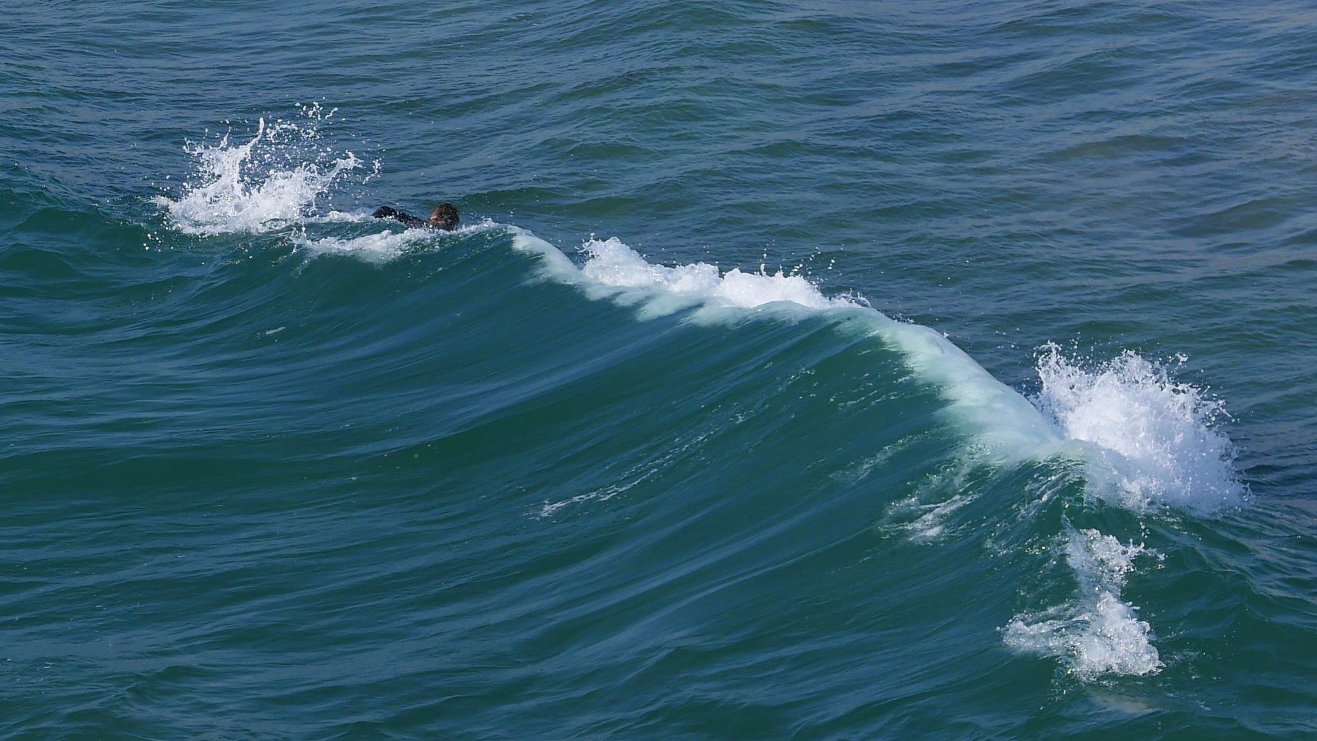 Southern Ocean: A Journey to the End of the Earth (Updated)