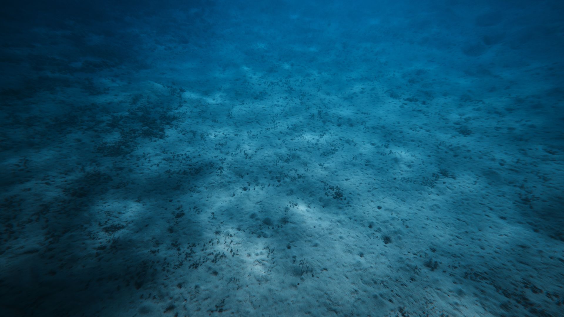 The Deepest Part of the Ocean - Orbitshub