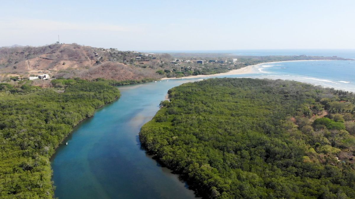 Top 10 Largest Estuaries in the World (Updated)