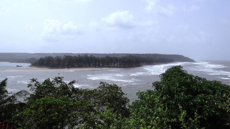 Top 10 Largest Estuaries in the World (Updated)