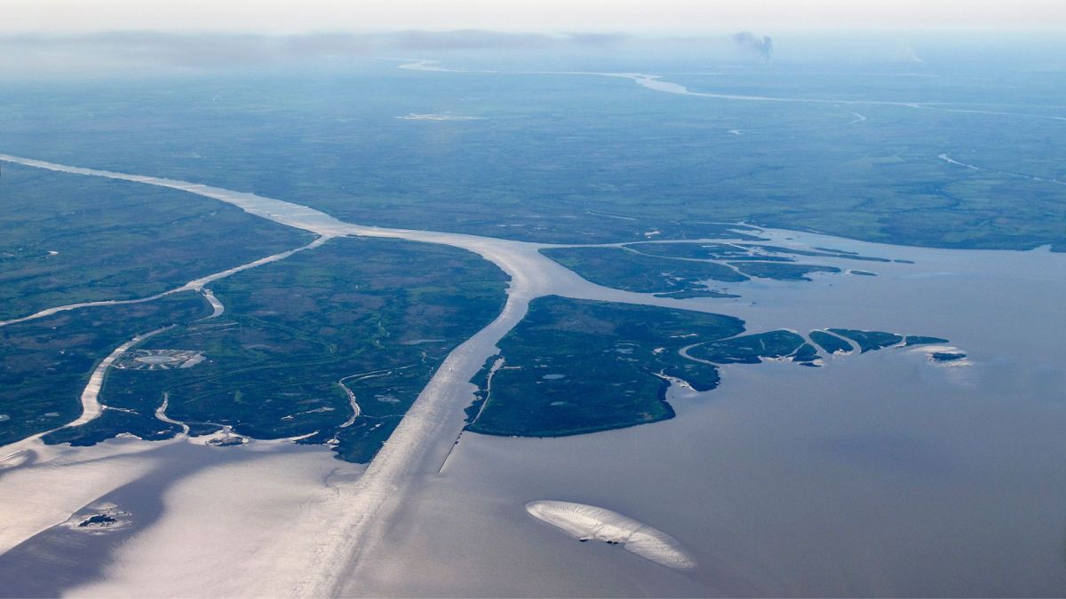 Top 10 Largest Estuaries in the World (Updated)