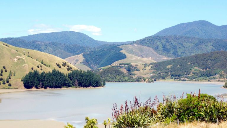 Top 10 Largest Estuaries in the World (Updated)