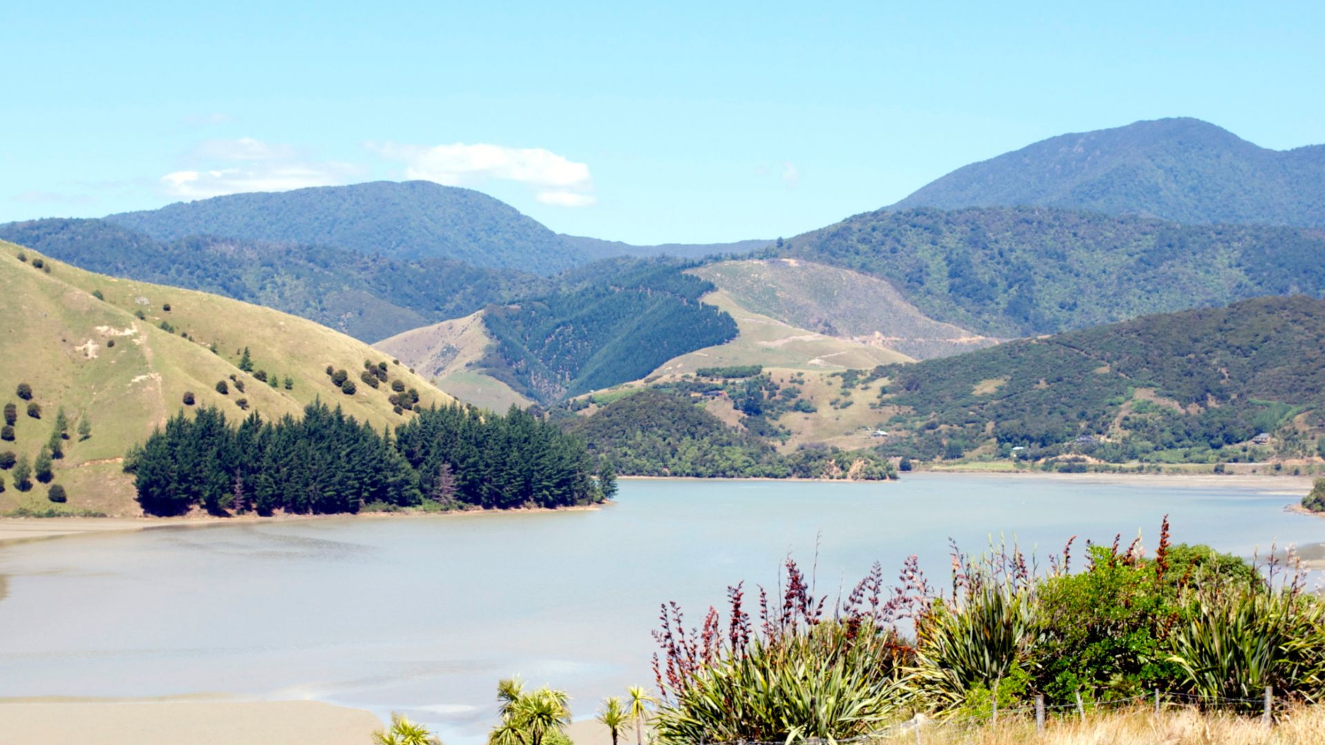 Top 10 Largest Estuaries in the World (Updated)