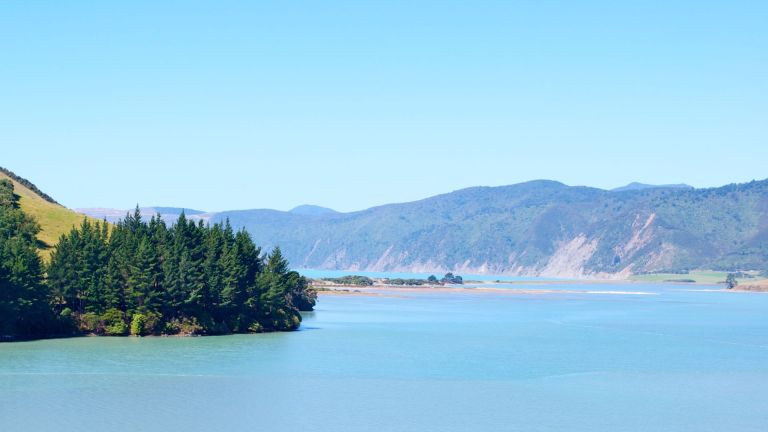 Top 10 Largest Estuaries in the World (Updated)