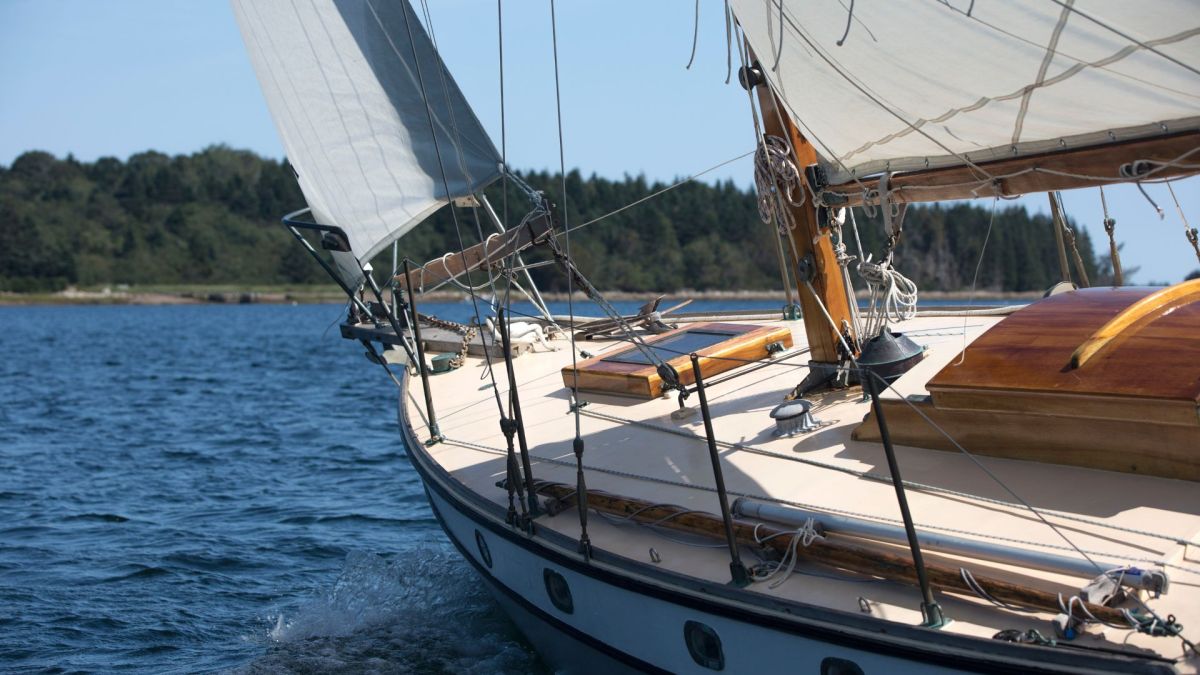 The Ultimate Guide to Choosing Your First Catboat - Orbitshub