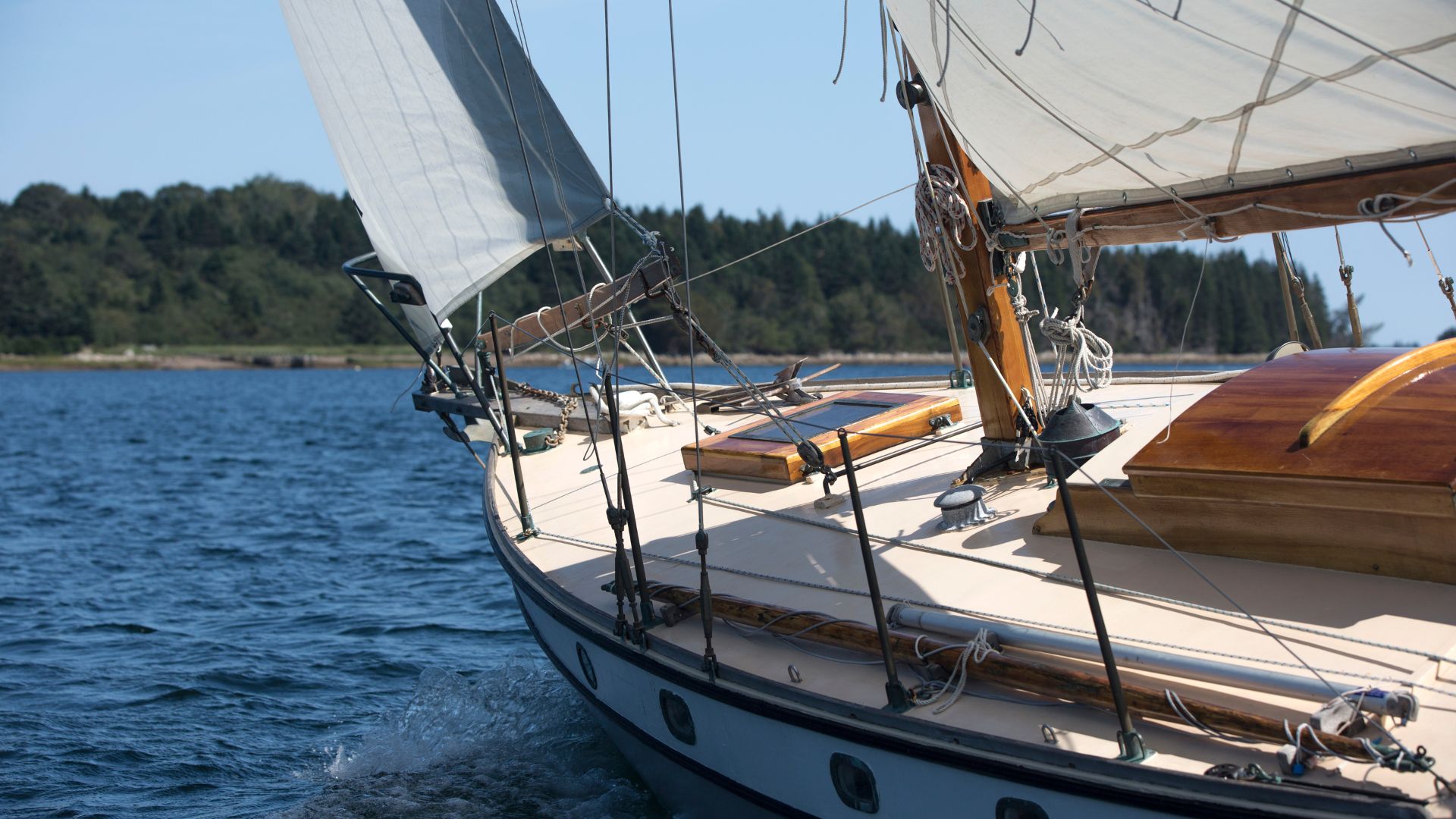 The Ultimate Guide to Choosing Your First Catboat - Orbitshub
