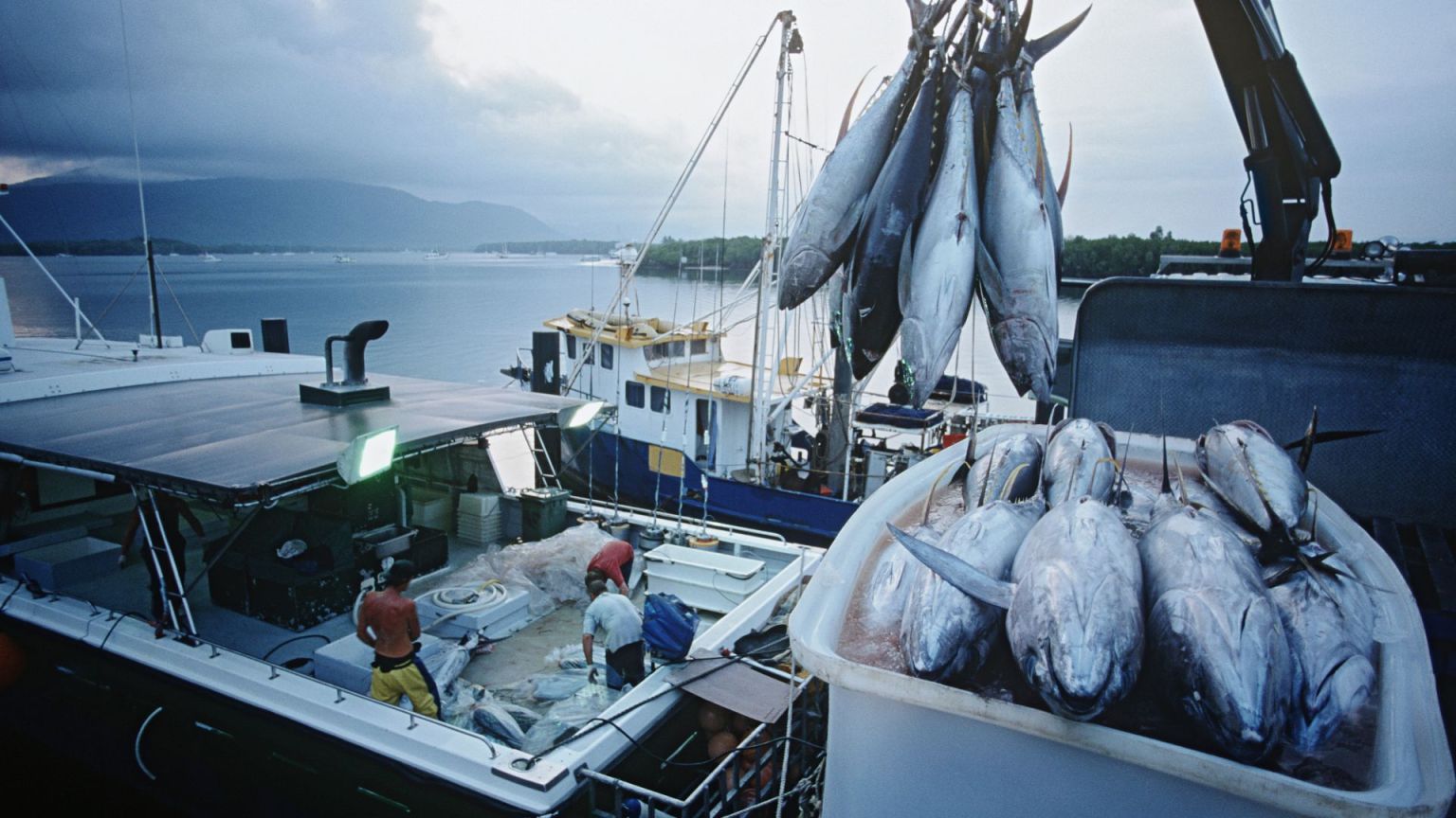 A Guide to Different Types of Fishing Boats (Updated)