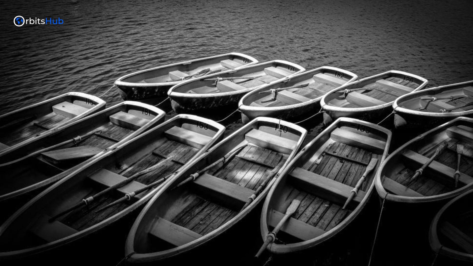The World of Rowboats: A Guide to Types and Uses (Updated)