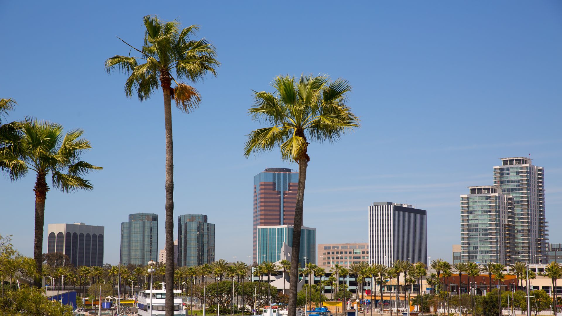 Top 10 Florida Ports: Strengths and Contributions (Updated)