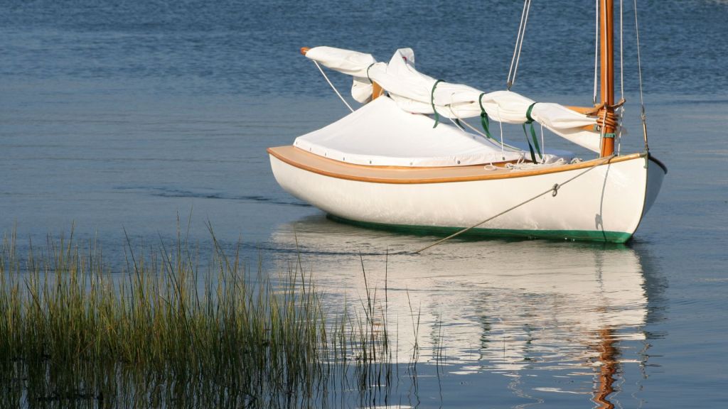 The Ultimate Guide to Choosing Your First Catboat - Orbitshub