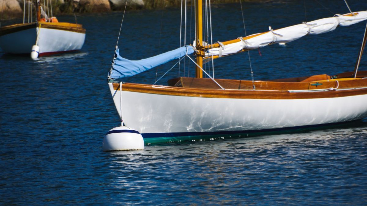 The Ultimate Guide to Choosing Your First Catboat - Orbitshub