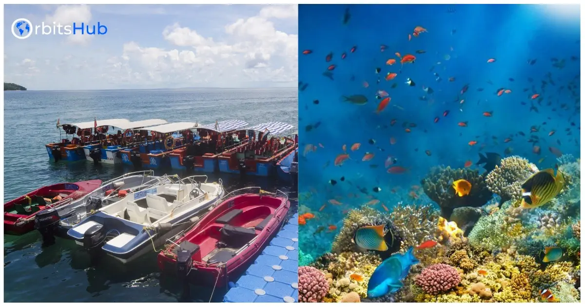 Andaman Nicobar Coral Reefs: Nature's Underwater Masterpiece